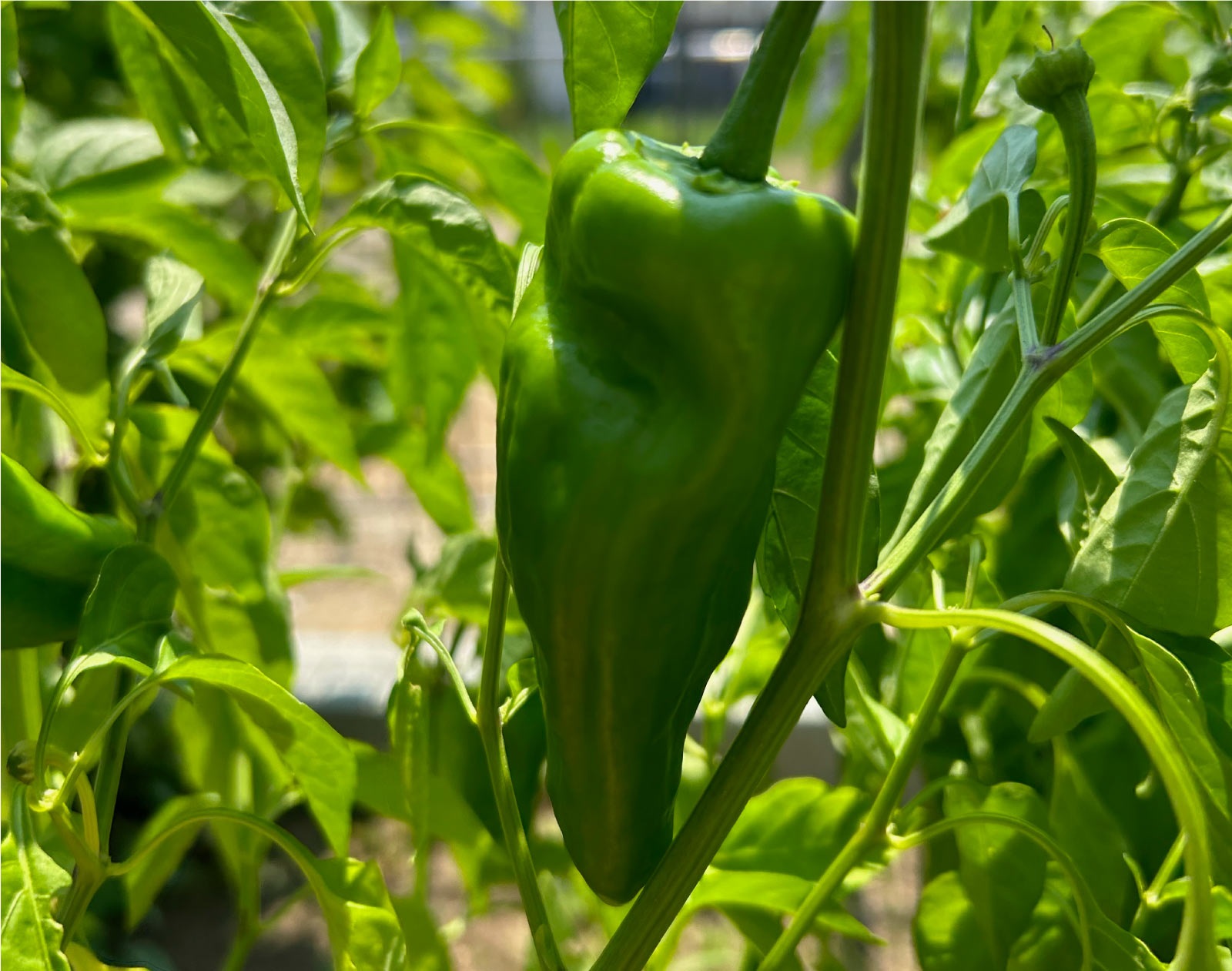 ホームページのアクセス解析でわかること ｜ CMNET BLOG｜株式会社CMねっと